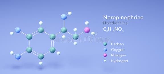 Norepinephrine Molecular Structures, Noradrenaline 3d Model, Structural ...