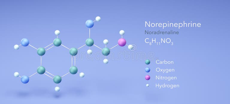 Norepinephrine Molecular Structures, Noradrenaline 3d Model, Structural ...