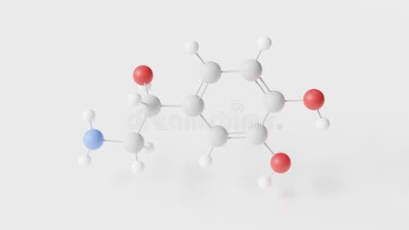 Norepinephrine Molecule 3d, Molecular Structure, Ball and Stick Model ...