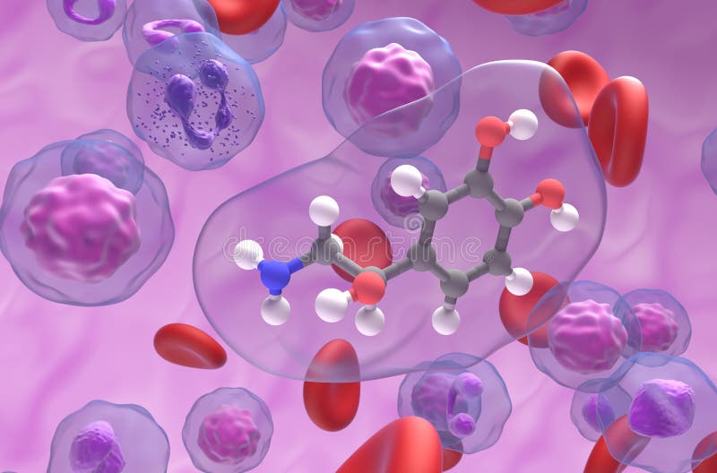 Norepinephrine (NE) [noradrenaline (NA)] Molecule in the Blood Flow ...