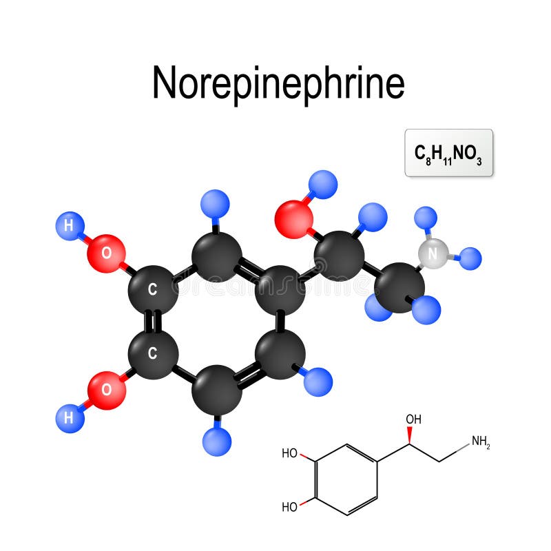 Norepinephrine. Structural Chemical Formula and Model of Molecule of ...