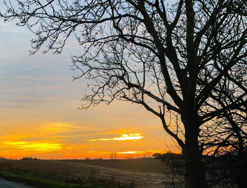 Sunset Norfolk Countryside Landscape Tree Stock Photo - Image of ...