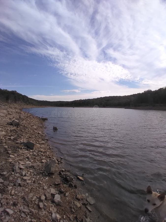 Norfork River stock image. Image of norfork, terrain - 232800943