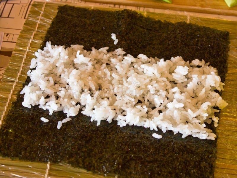 Nori Algae Leaf with Rice for Rolls with Cucumber and Avocado on Stock ...
