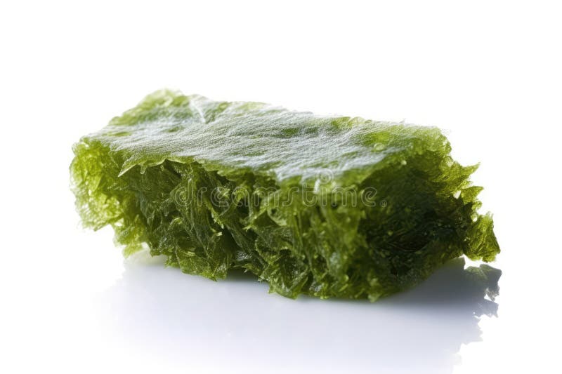 Nori Algae on White Background. Generative AI Stock Illustration ...