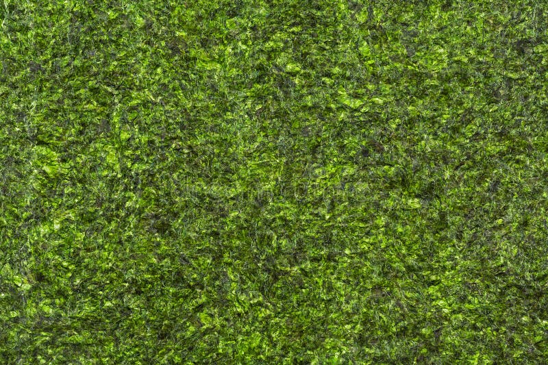 Nori Leaf Texture. Close-up of Nori Leaf As Background, Top View Stock ...