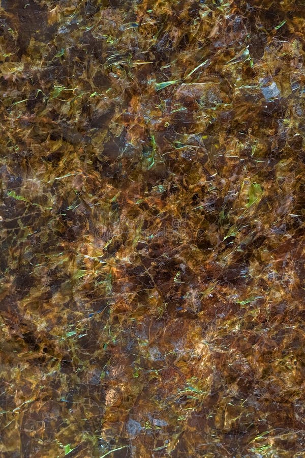 Nori Sheet Pattern Unusual Texture Grunge Background or Wallpaper Stock ...