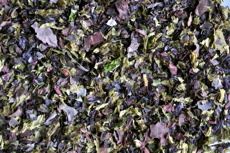 Nori Shred Algae ,edible Seaweed Stock Photo - Image of grass, cooking ...