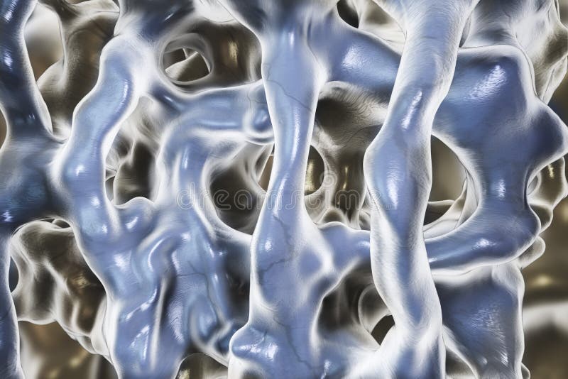 Trabeculae Stock Illustrations – 47 Trabeculae Stock Illustrations ...