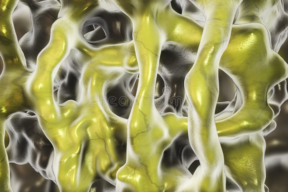 Normal bone illustration stock illustration. Illustration of medical ...