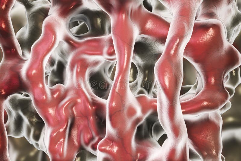 Normal bone illustration stock illustration. Illustration of trabeculae ...