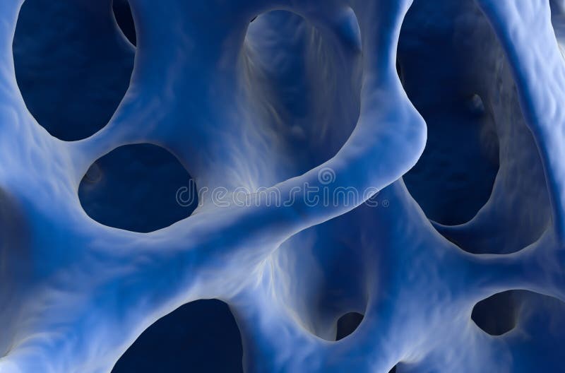 Normal Bone Structure Healthy Bone Cortex - Closeup View 3d ...
