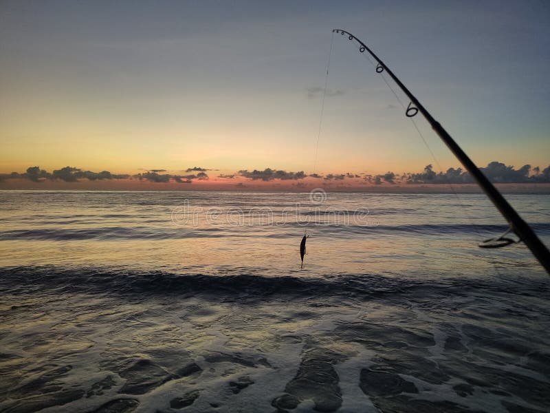 Normal Day Normal Activities Stock Photo - Image of sunset, sand: 268769730