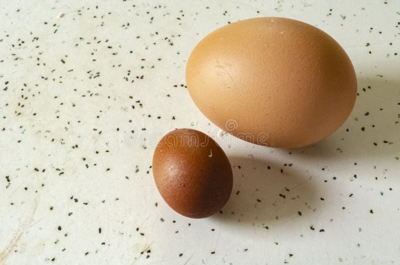 A Normal Egg and a Yolkless Fairy Eggt Stock Image - Image of protein ...