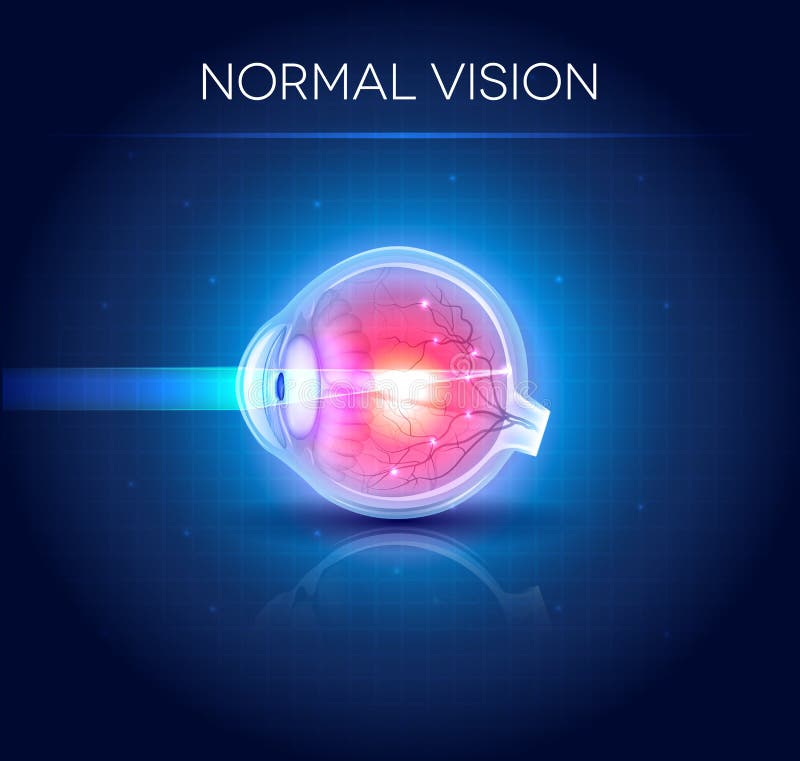 Eye Care Abstract Background Stock Vector - Illustration of human ...