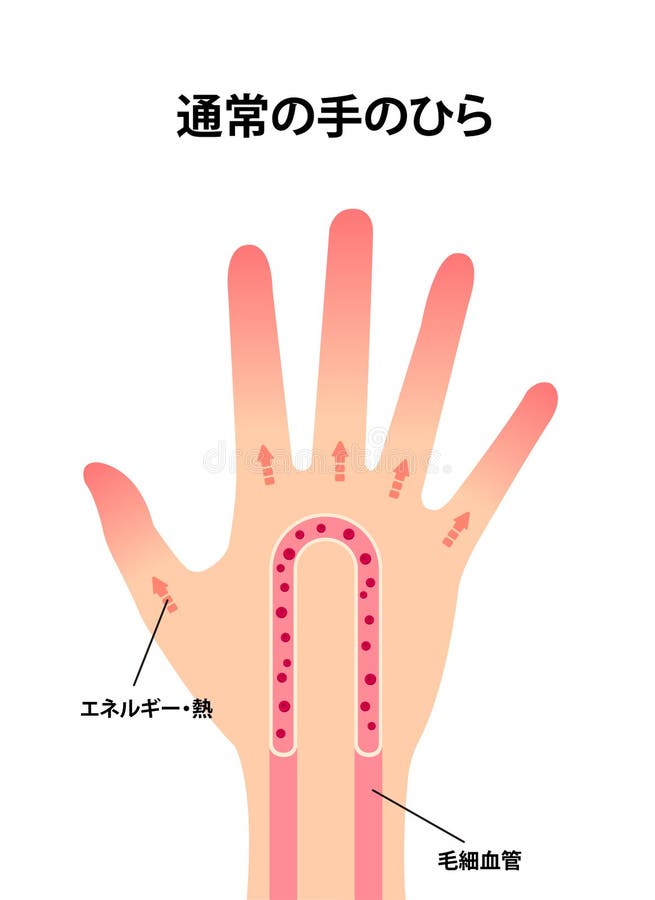 Blood Circulation Hand Stock Illustrations – 502 Blood Circulation Hand ...