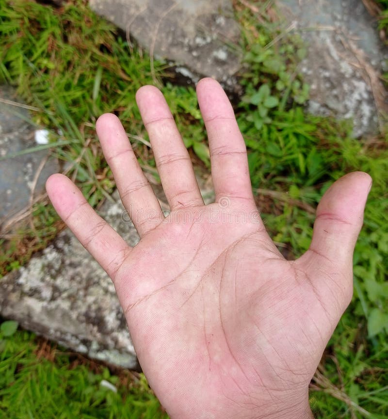 Normal Hand of a Human with Grass and Stones on Background Stock Image ...