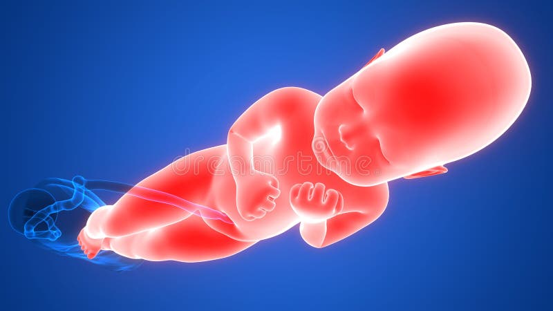 Childbirth Labor Positions And Postures At Home. Stock Vector ...