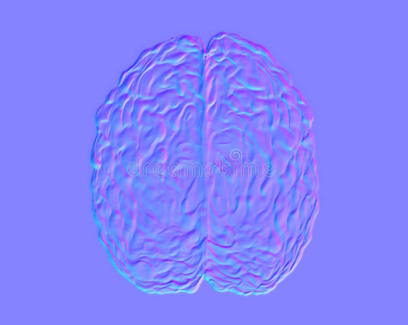 Normal Map of Human Brain Model, Texture for Use in 3D Programs Stock ...