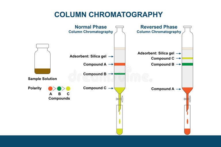 Column Chromatography Stock Illustrations – 63 Column Chromatography ...