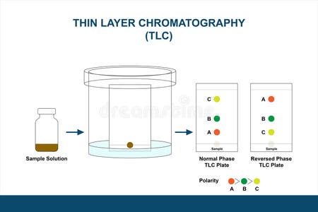 Normal Phase and Reversed-Phase Thin Layer Chromatography Plates Stock ...