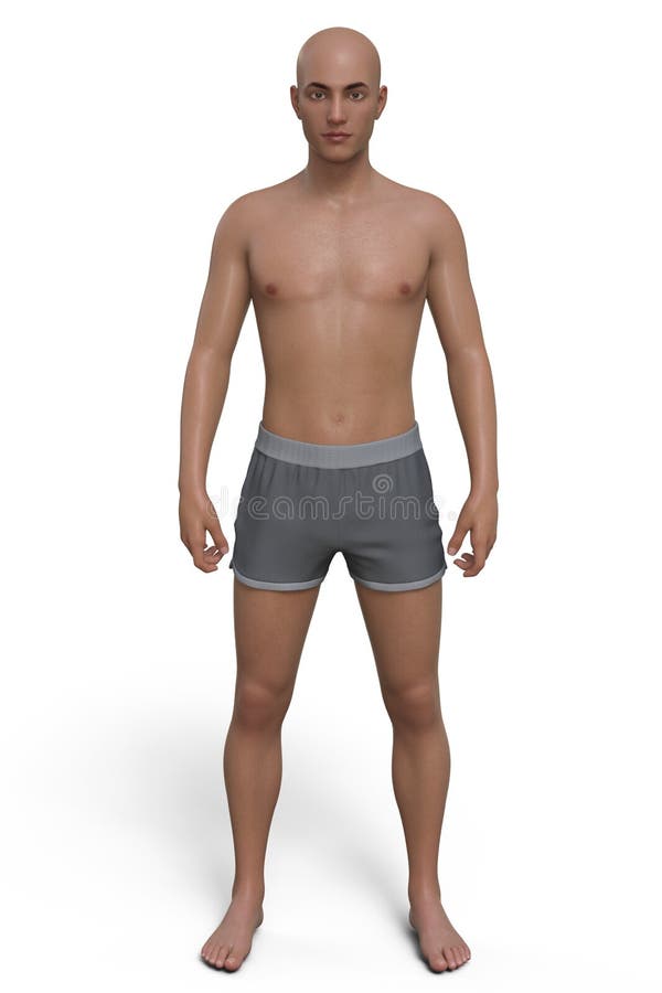 Normal Weight Man, 3D Illustration Stock Illustration - Illustration of ...