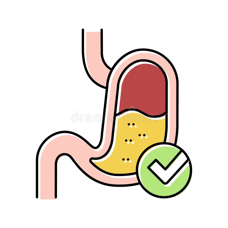 Normal Gastrointestinal Tract Stock Illustrations – 272 Normal ...