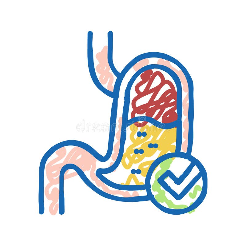 Normal Workin Digestion System Icon Doodle Illustration Stock Vector ...