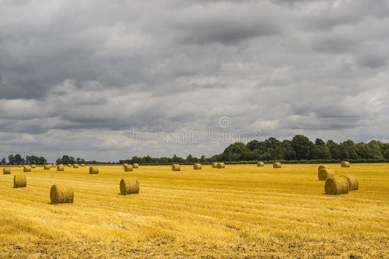 Normandy - Field stock image. Image of nature, agriculture - 27192125