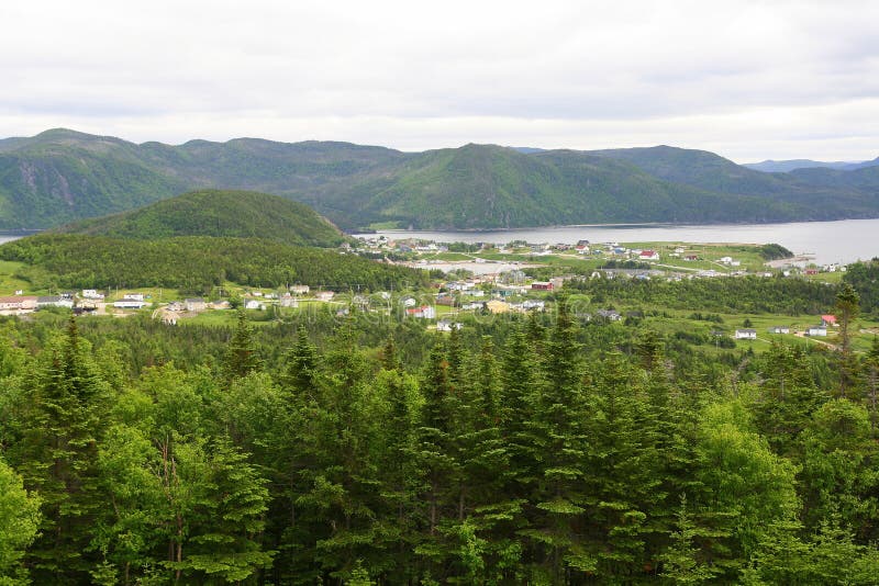 Norris Point stock photo. Image of newfoundland, cove - 8334874