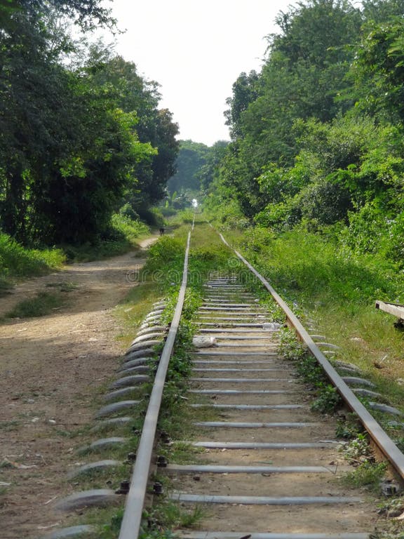 Norry stock photo. Image of rudimentary, bamboo, rail - 43432556