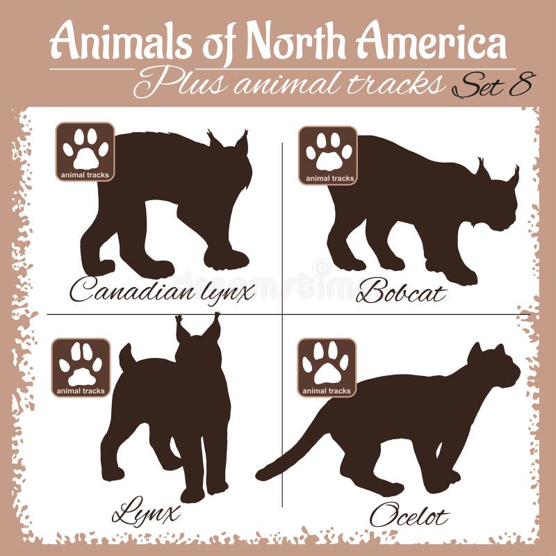 Ocelot Silhouette Stock Illustrations – 166 Ocelot Silhouette Stock ...