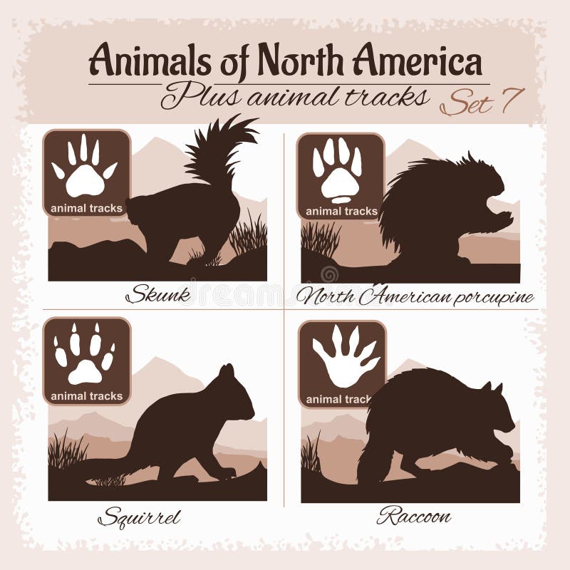North America Animals and Animal Tracks, Footprints. Stock Vector ...