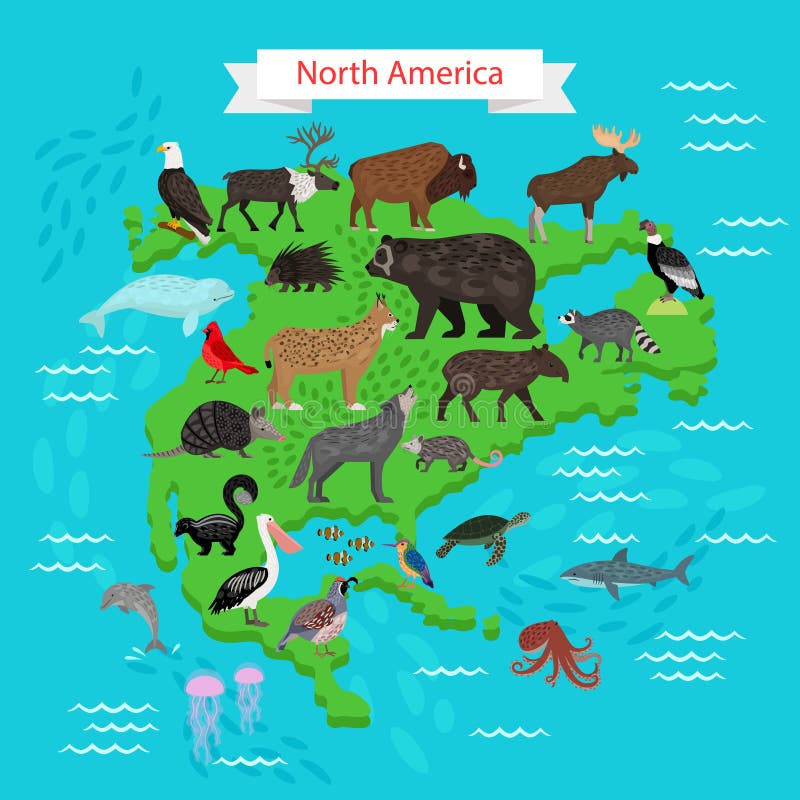 North America Animals and Birds on the Map Stock Vector - Illustration ...