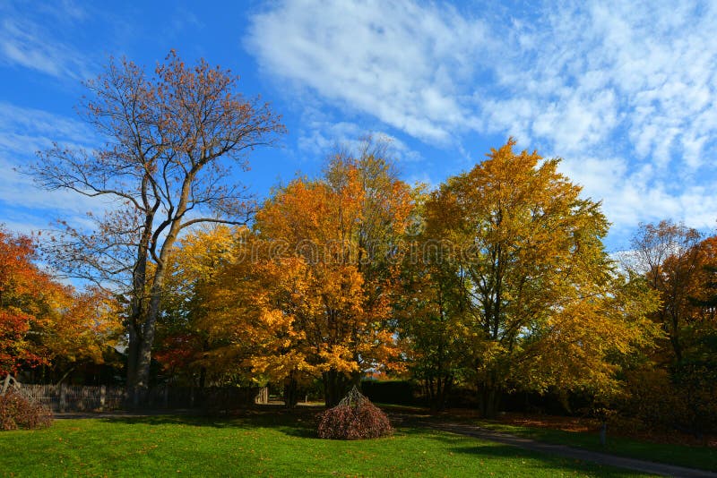 North America Fall Landscape Trees Stock Photo - Image of blue, canada ...