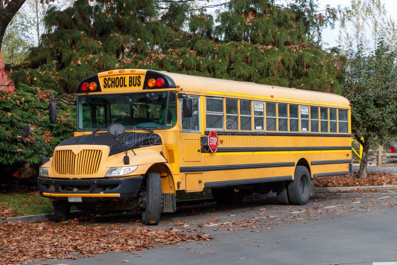 524 Front View School Bus Stock Photos - Free & Royalty-Free Stock ...