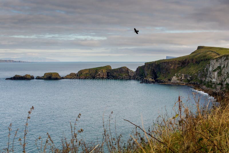 North Antrim Coast, Northern Ireland Stock Image - Image of causeway ...