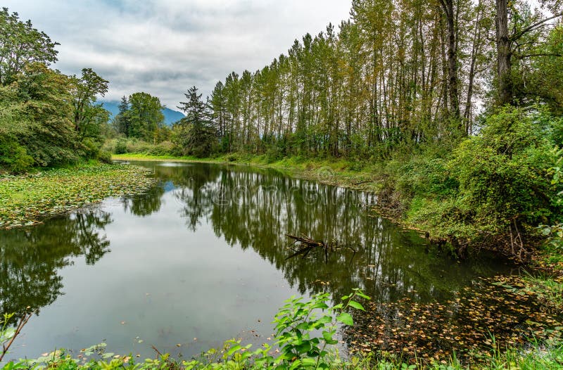 North Bend River 2 stock photo. Image of outdoors, scenic - 336412752