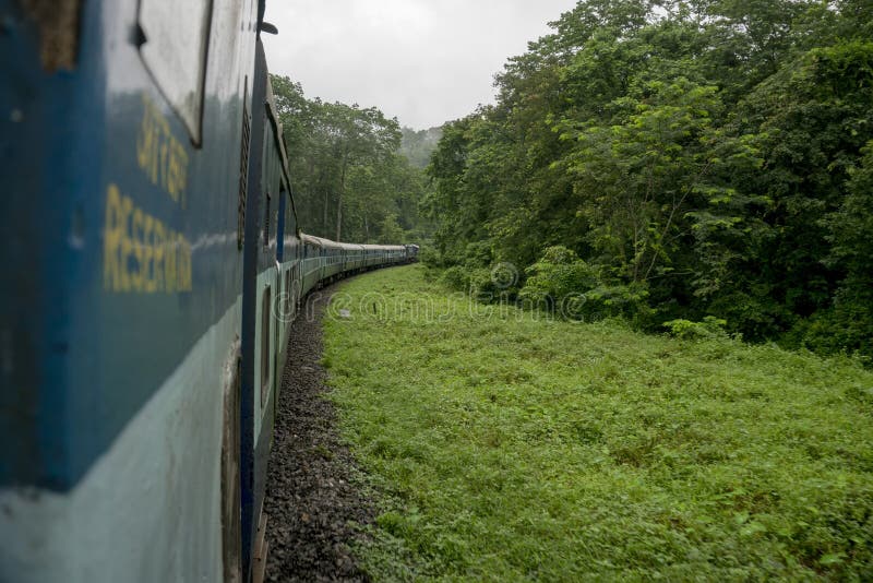 North Bengal Nature View from the Train Stock Photo - Image of green ...