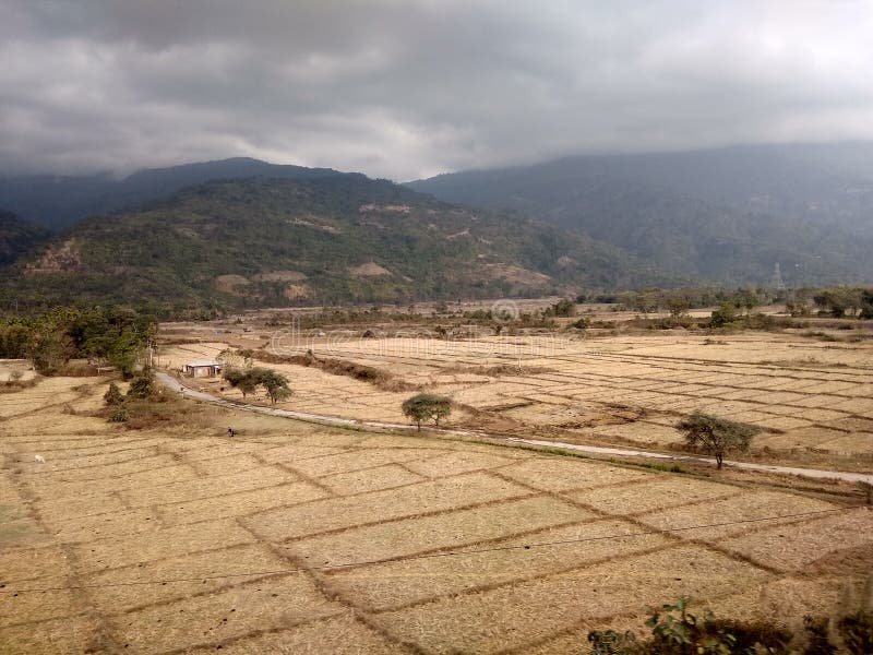 Cachar Valley Stock Photos - Free & Royalty-Free Stock Photos from ...