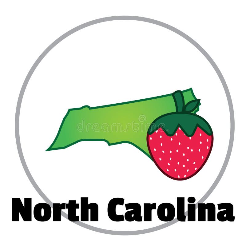 North Carolina State Map. Vector Illustration Decorative Design Stock ...