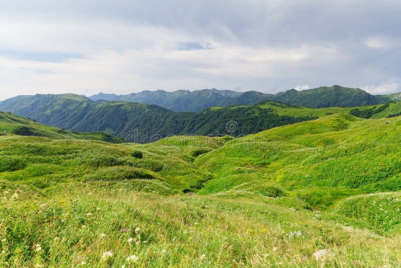 North Caucasus stock image. Image of background, grassland - 58829893