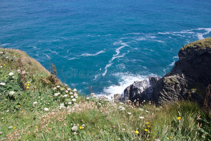 North Cliffs, Cornwall. stock photo. Image of ocean, summertime - 95775076