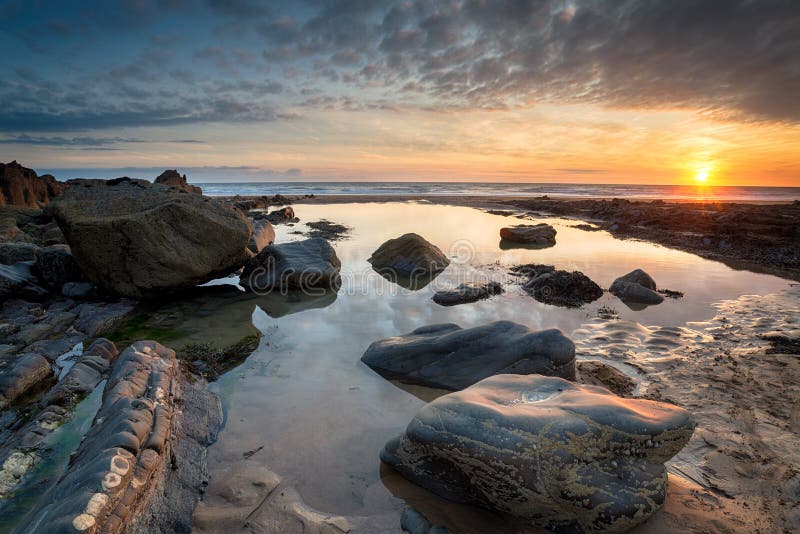 Sandymouth Beach , Stibb, Cornwall Uk Stock Image - Image of marinelife ...