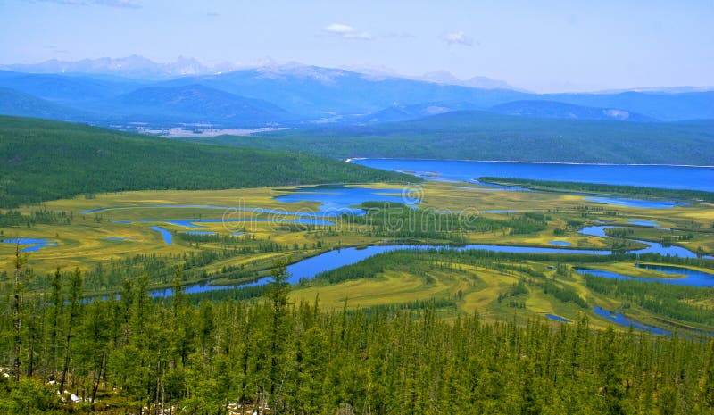 North Delta stock image. Image of green, river, sunlight - 13081165