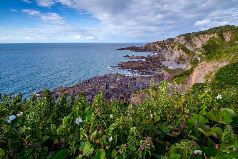 North Devon Coast Near Hele Bay Stock Image - Image of england, north ...