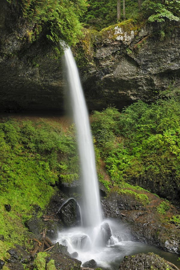 Waterfall, Silver Falls State Park Stock Image - Image of park, falls ...