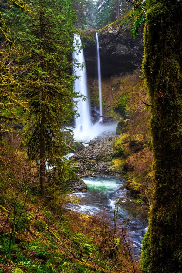 North Falls View at Silver Falls State Park Stock Image - Image of ...