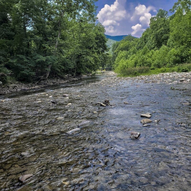 North Fork South Branch of the Potomac River Near Seneca Rocks Stock ...