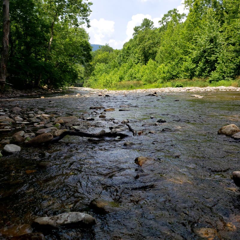 North Fork South Branch of the Potomac River Near Seneca Rocks Stock ...